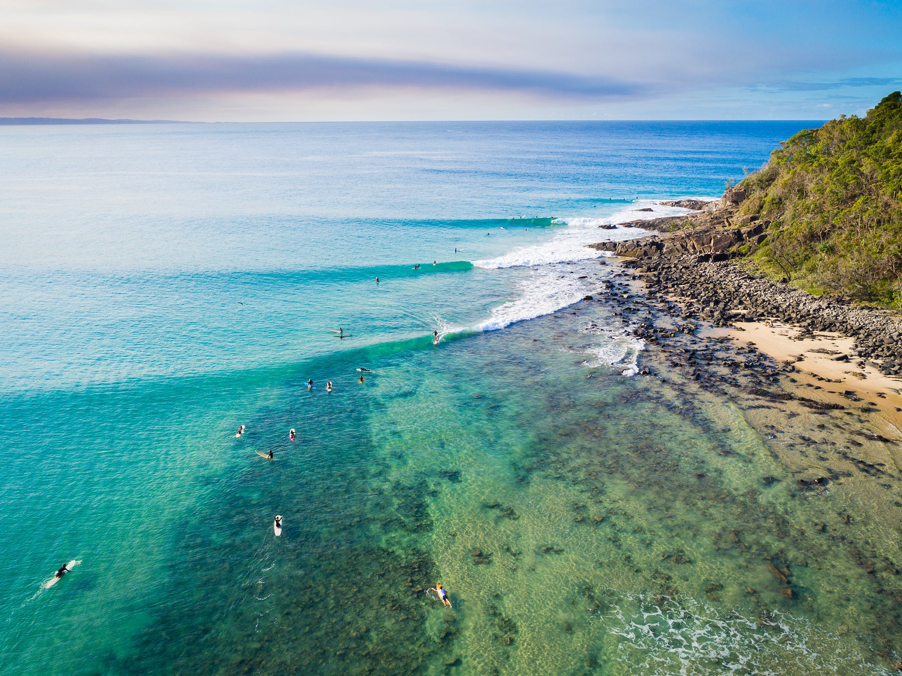 Tea Tree Sets - Dave Wilcock Photography
